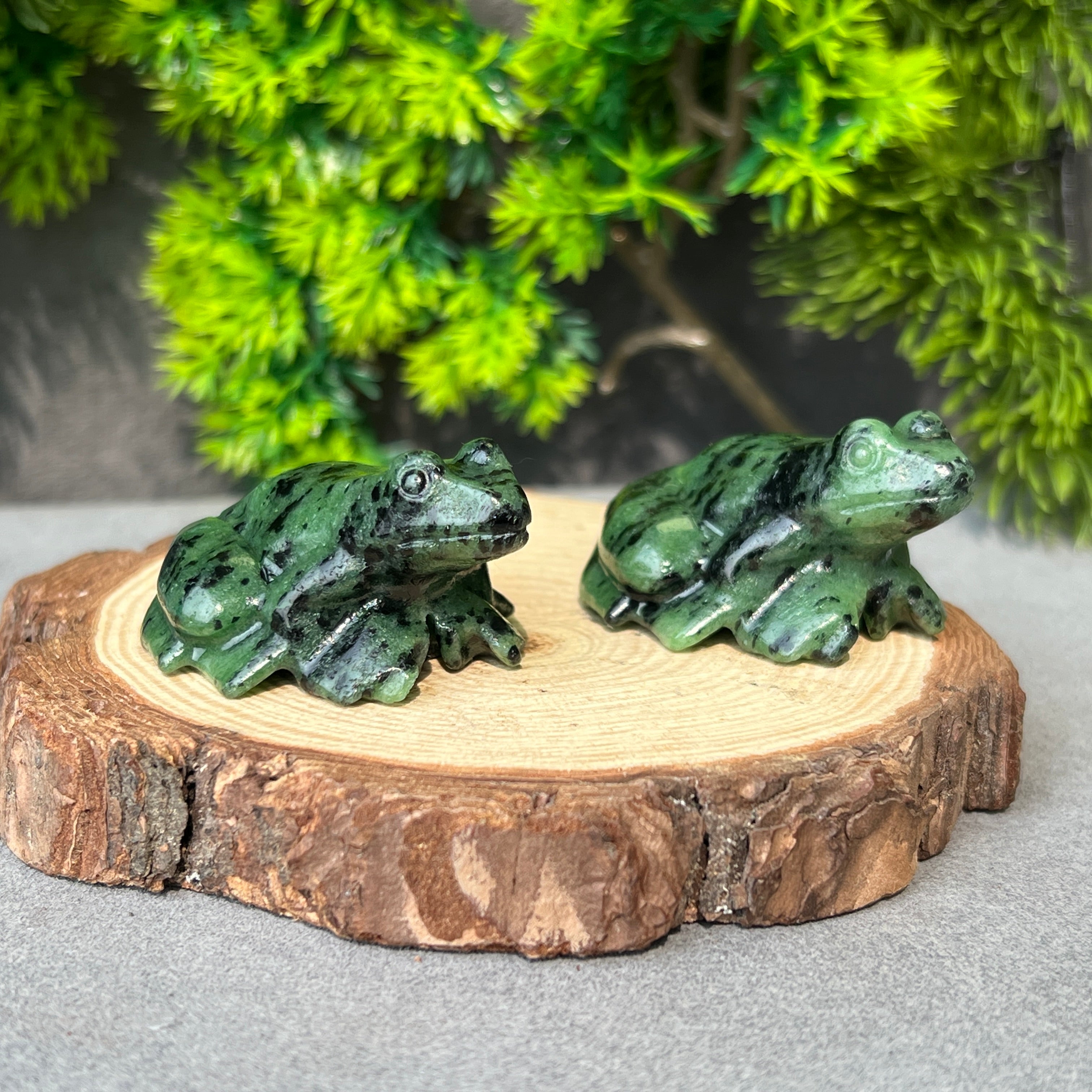 Ruby in Zoisite Frog – KiKi Crystal