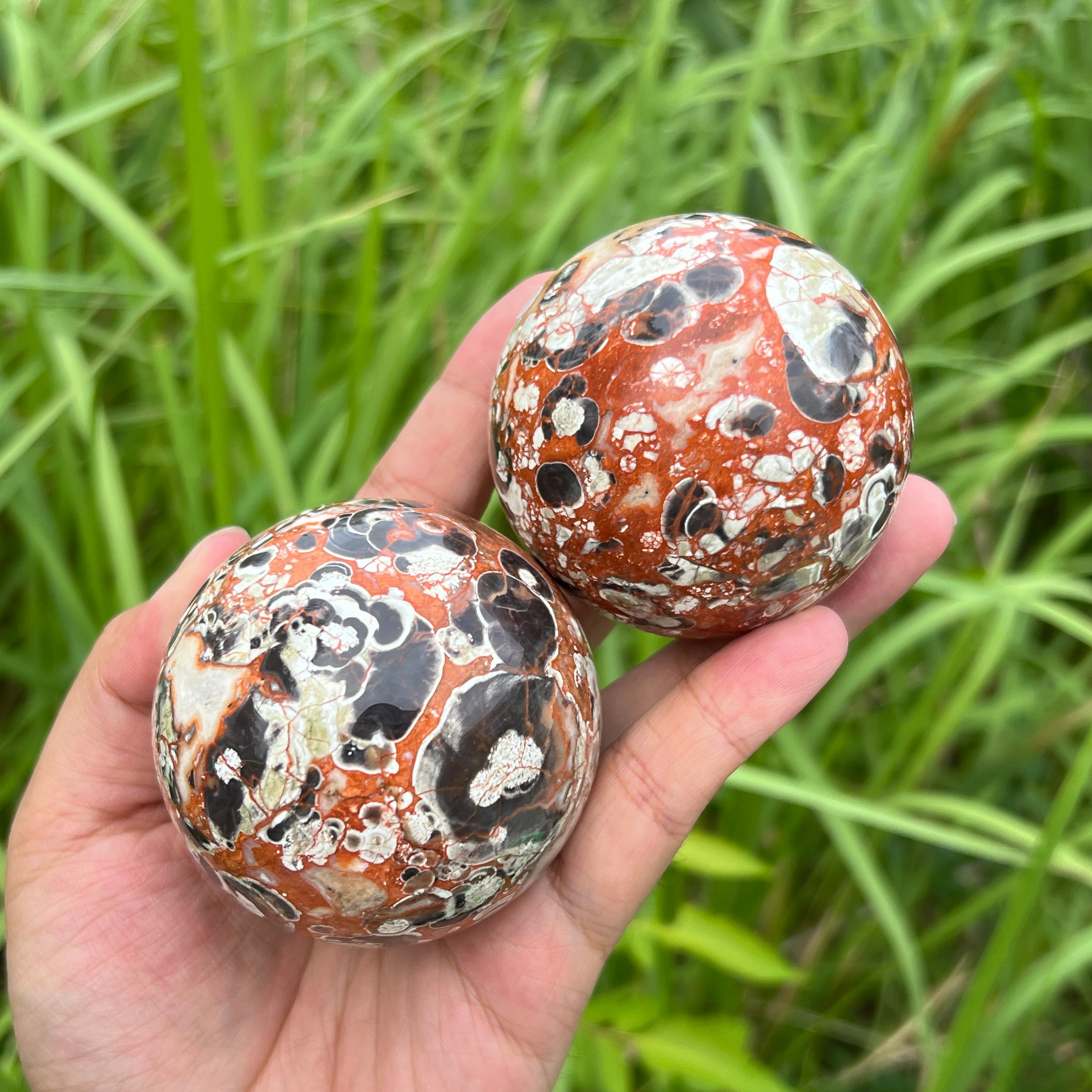 Money Agate Sphere – KiKi Crystal