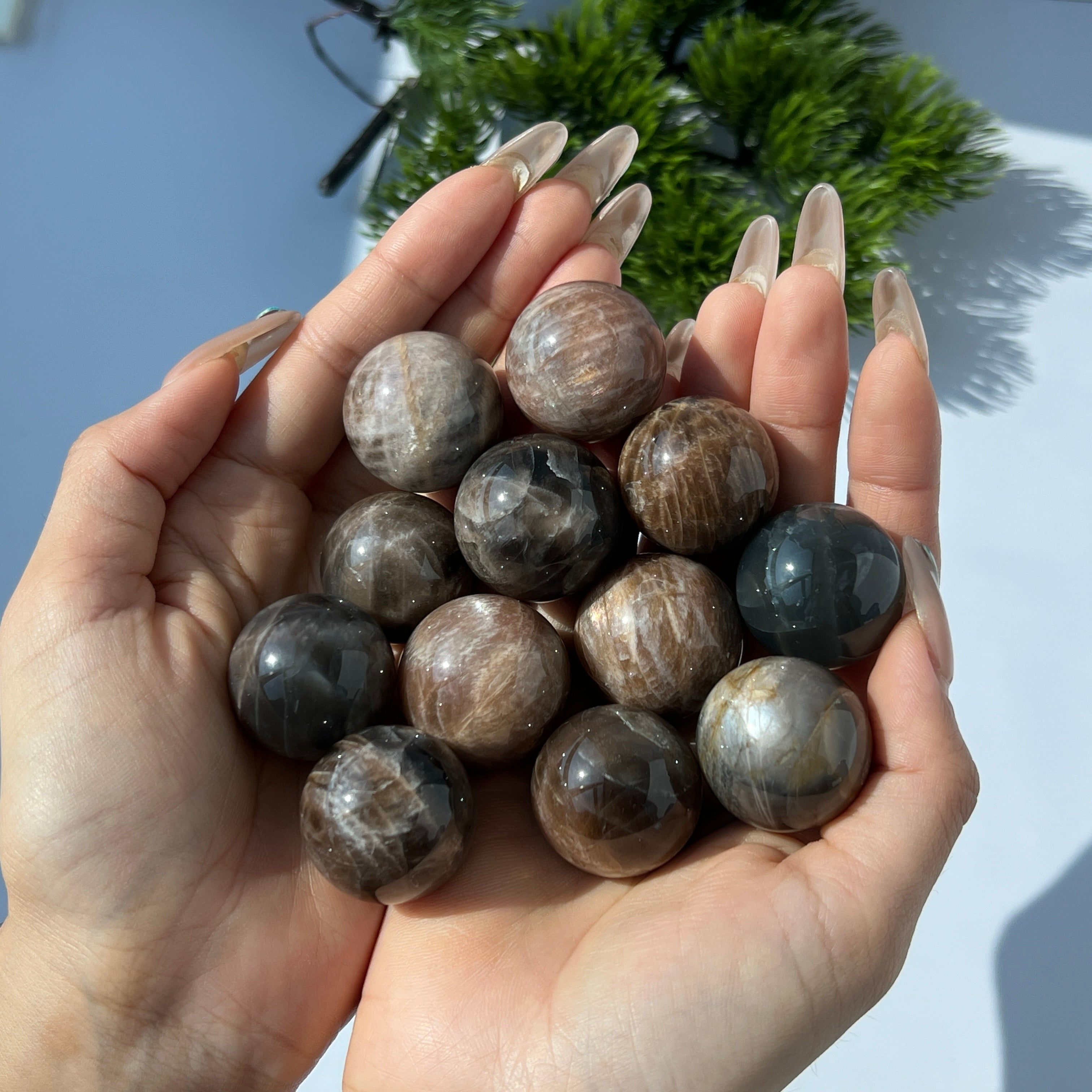 Black Moonstone with Sunstone Sphere 25MM+ – KiKi Crystal