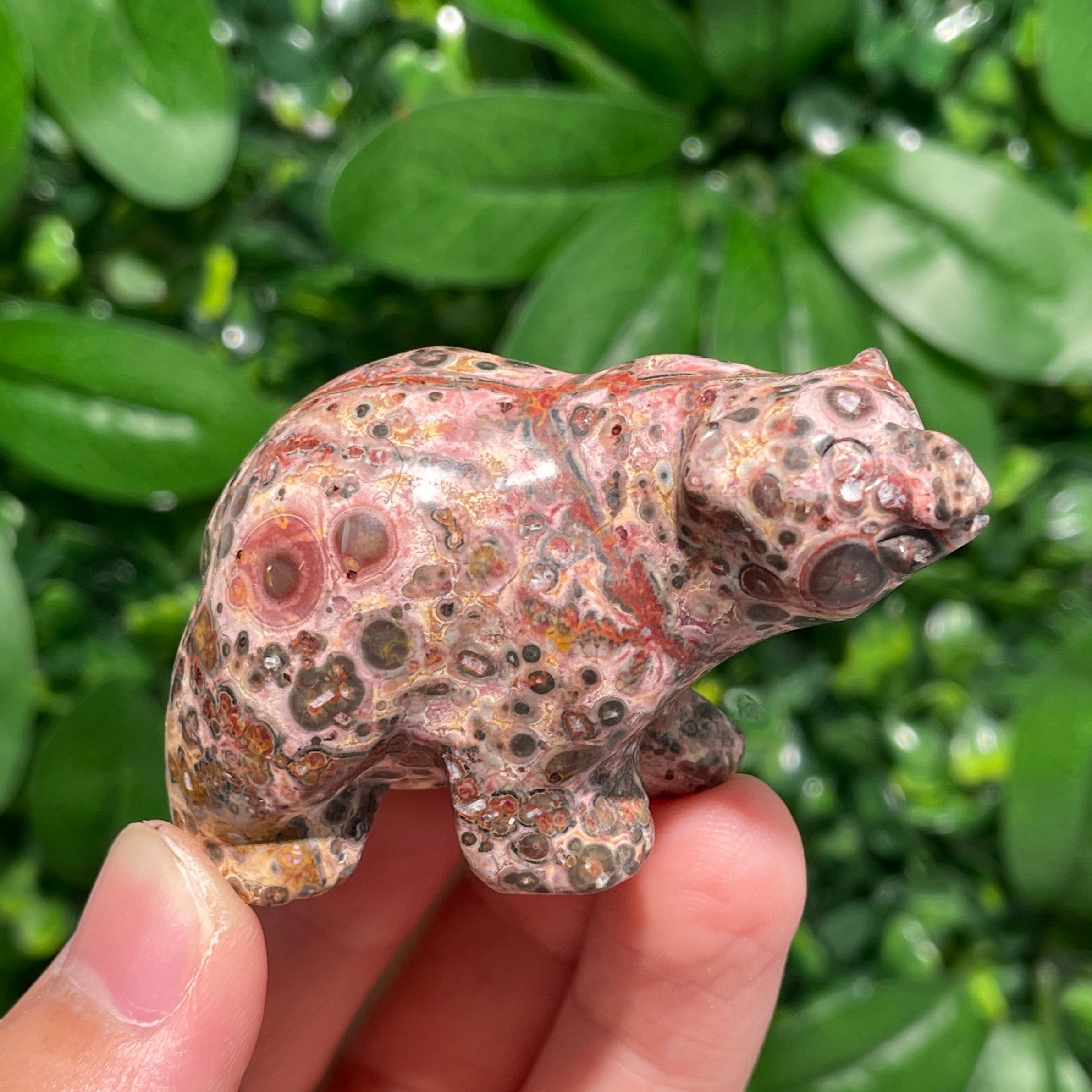 Leopard Skin Jasper Bear – KiKi Crystal