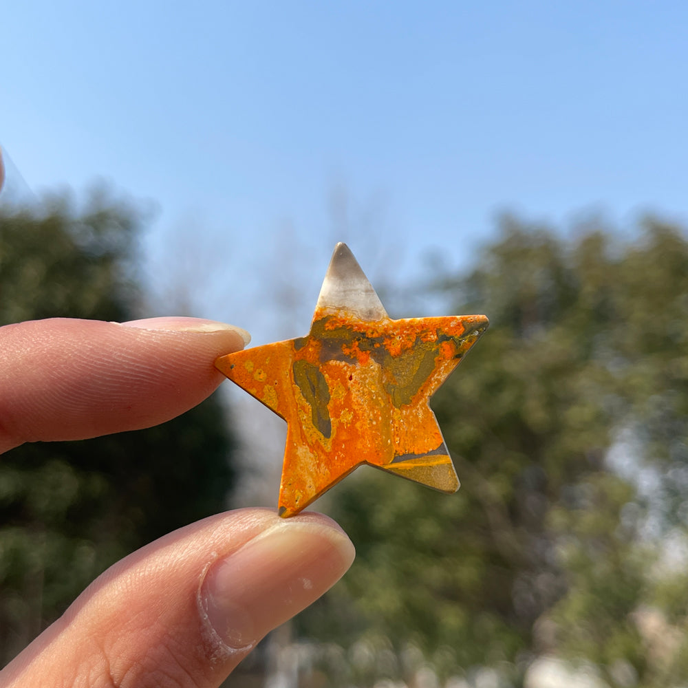 Natural Crystal Carved Bumble Bee Jasper Star – KiKi Crystal