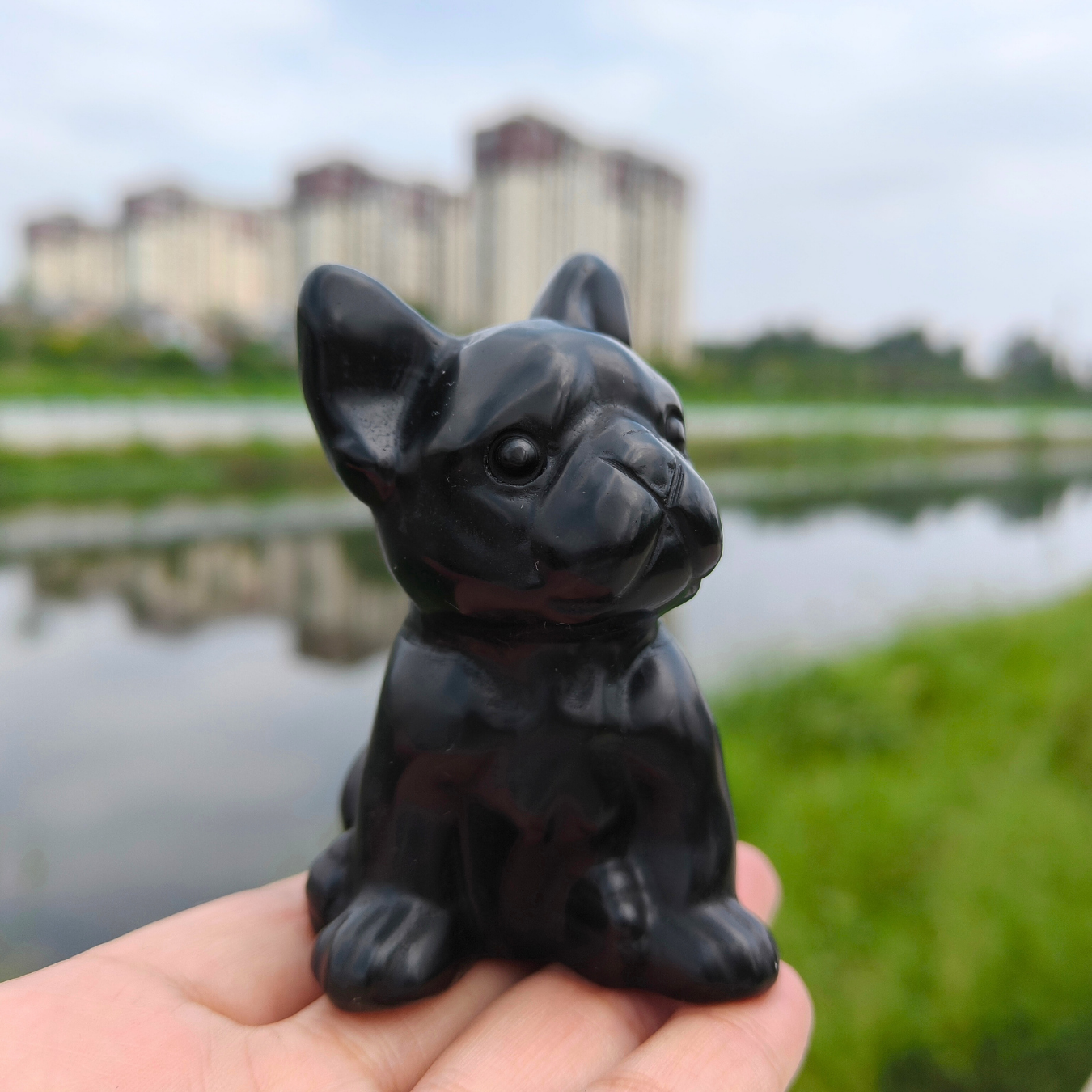 Obsidian Dog – KiKi Crystal