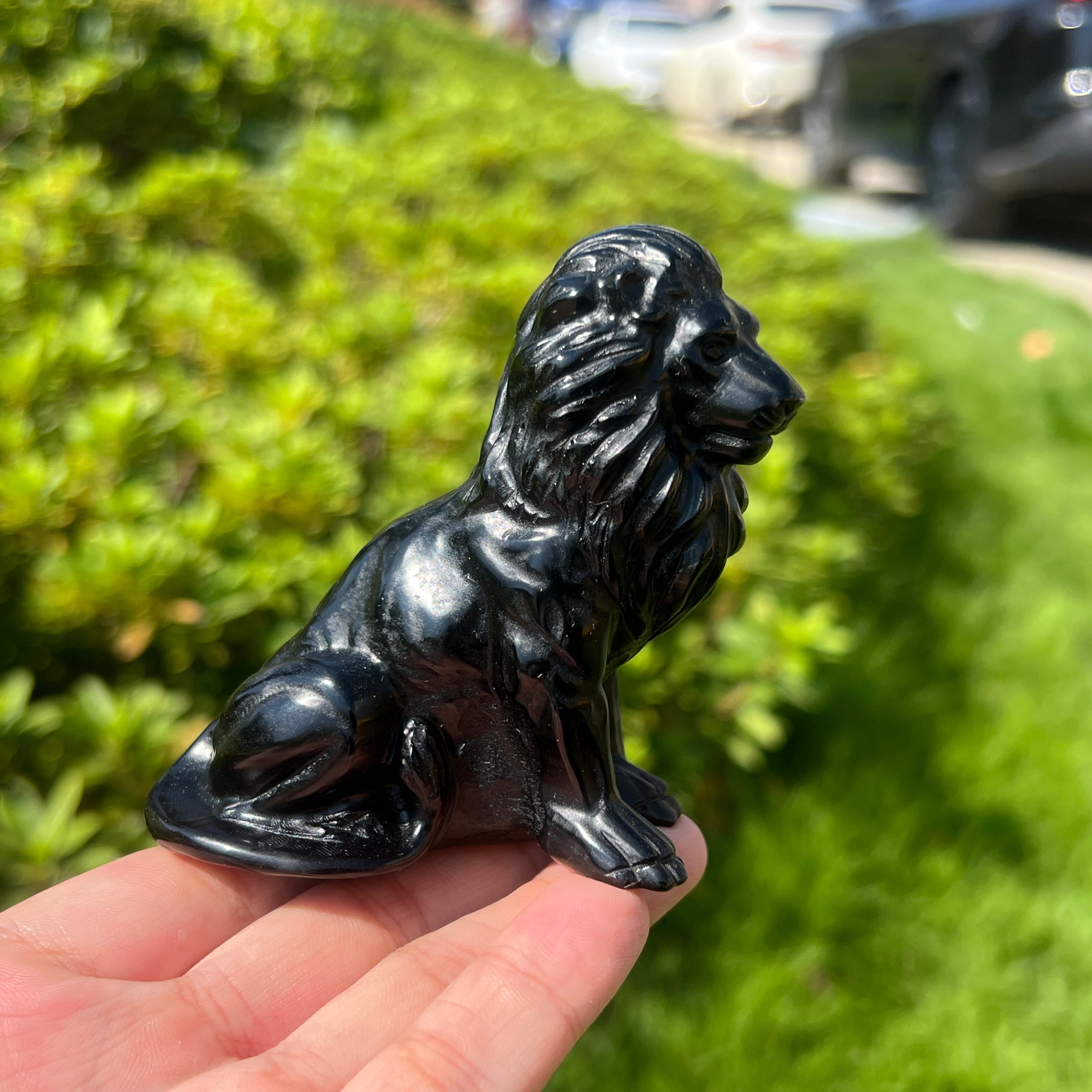 Obsidian Lion – KiKi Crystal